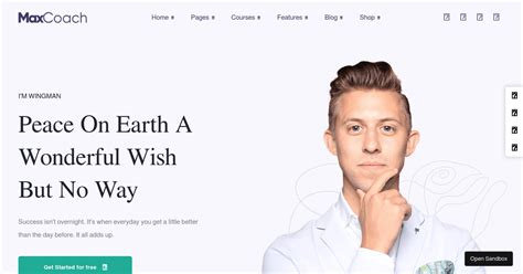 Brunobernardiniproj Html Vuejs Codesandbox