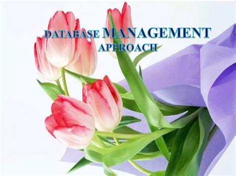 PPT DATABASE MANAGEMENT APPROACH PowerPoint Presentation Free Download ID