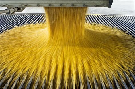 Corn Ethanol Processing Plant Stock Image T122 0143 Science Photo Library