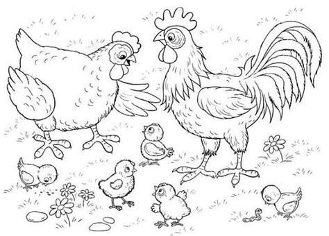 Домашние птицы и животные раскраски для детей