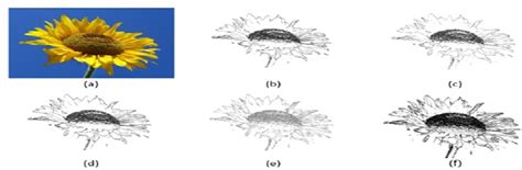 Figure 6 From Image Edge Detection Using Fuzzy Logic Controller Semantic Scholar