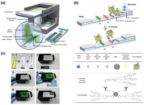 Overview Of Smartphone Based Fluorescence Detector Design A Download Scientific Diagram