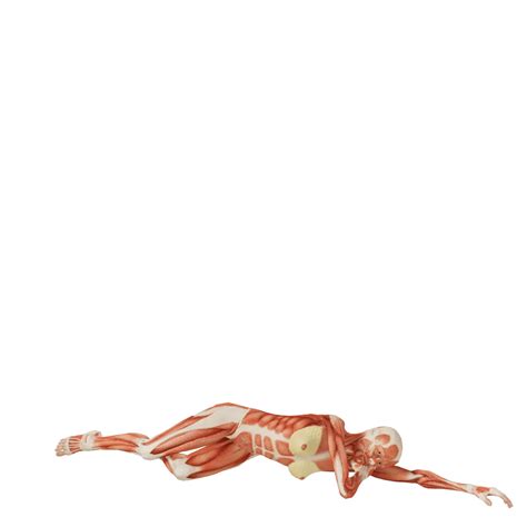 Relax Unisex Poses Posemaniacs Royalty Free 3d Pose Reference For All Artists Relax Unisex Poses Posemaniacs Royalty Free 3d Pose Reference For All Artists