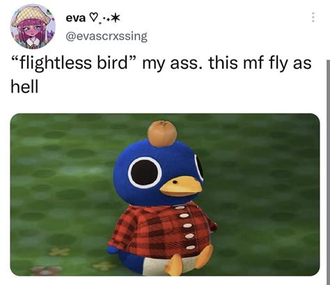 Roald Being Himself Ranimalcrossing