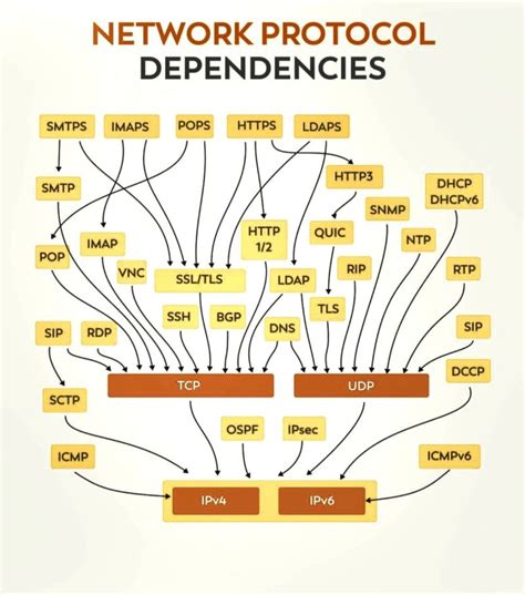 Network Protocol Dependencies Samiul Haque Suman