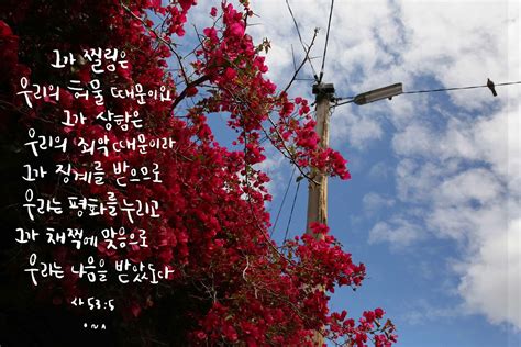 그가 찔림은 우리의 허물 때문이요 그가 상함은 담 없는 교회 City Baptist Church