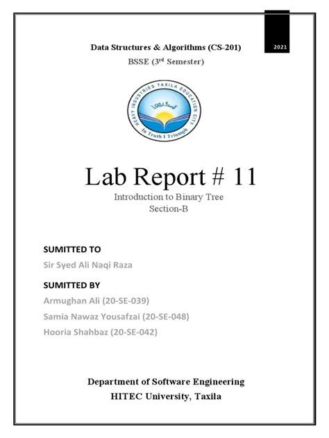 Lab Report 11 Binary Tree Pdf Theoretical Computer Science