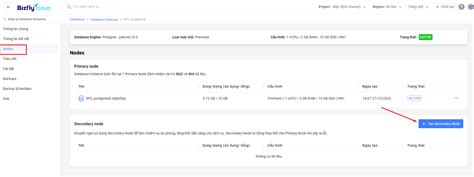 Kết Nối Postgres Patroni để Giảm Thiểu Rủi Ro Bizfly Cloud Documentation