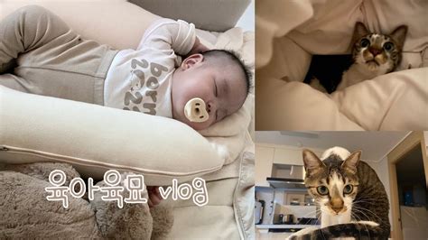 육아육묘 생후 3개월 아기 3살 남매묘 고양이랑 아기랑 같이하는 잠자리 낮잠 연장 성공 그러나 라라스 베개빨 첫 감기 조금먹고 몸무게 잘느는 아기