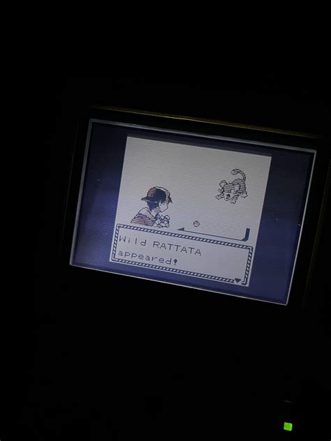 [gen2] Shiny Rattata Pokémon R Shinypokemon