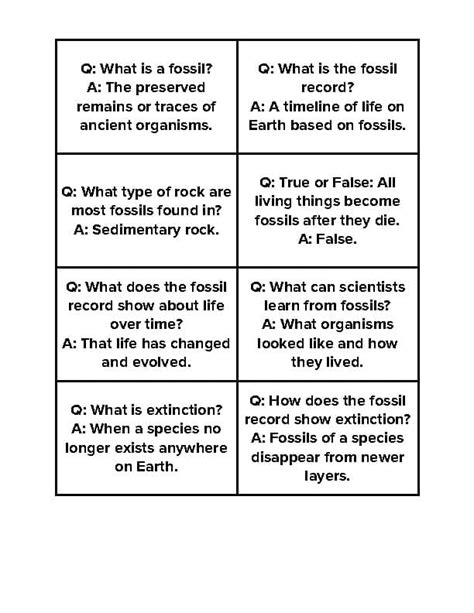 Fossil Record Quiz Quiz Trade Cards By Mr Halim Science Tpt