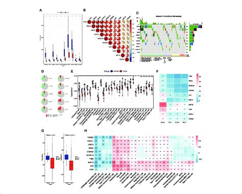 Multi Omics Analyses Of Identified Key Genes And Evaluation Of Tme