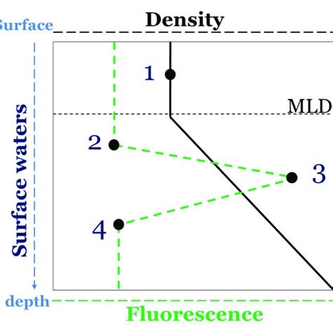 Schematic Representation Of The Sampling Depth Determination In The Download Scientific