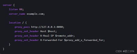Nginx虚拟机配置文件部分的详细解释nf文件语法中的~ Csdn博客