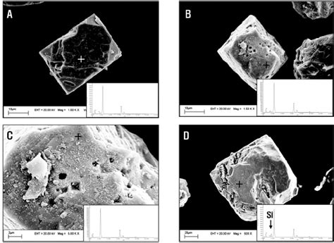 The SEM Micrographs Of Pyrite Before And After The Reaction Between The Download Scientific