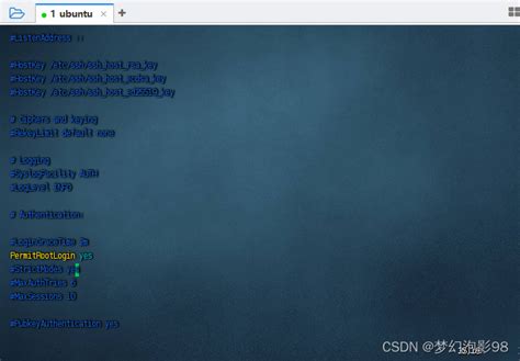 Docker 中安装 Ubuntu 并用ssh连接docker Ubuntu Ssh Csdn博客