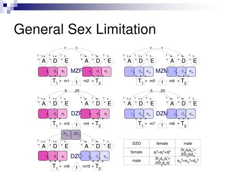Ppt Heterogeneity Powerpoint Presentation Free Download Id3652367