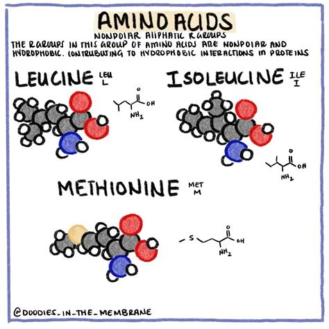 Biochemistry Infographic Phosphohexose Isomerase Artofit