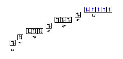 Fe Has That Is Are Unpaired In Its D Orbitals Quizlet
