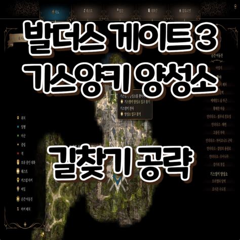 발더스 게이트 3 일릭 양성소 들어가는 방법 기스양키 양성소 네이버 블로그