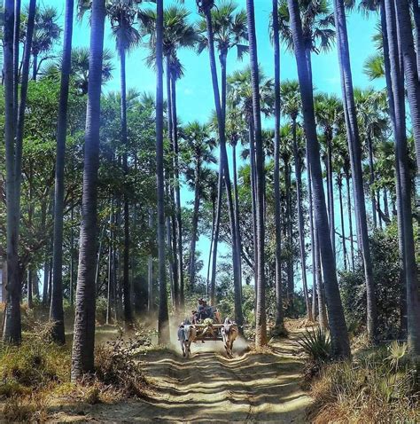 သဘာဝအလွဓာတ္ပံုမ်ားး