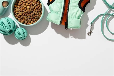 Acessorios Para Gatos Imagens Download Gr Tis No Freepik