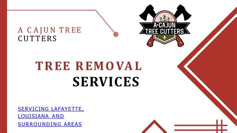 PPT Tree Pruning 2 PowerPoint Presentation Free To Download Id 950fc3 N2QyN
