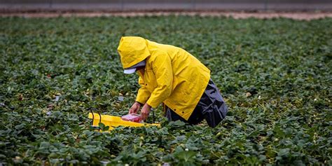 Focus On Labour Exploitation Flex On Linkedin Opportunities For Migrant Seasonal Workers