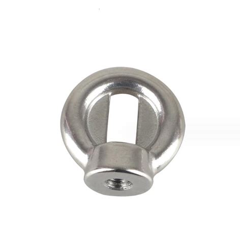 304316 Stainless Steel Swing Lifting Ring Nut Screw Nut Lifting Lug