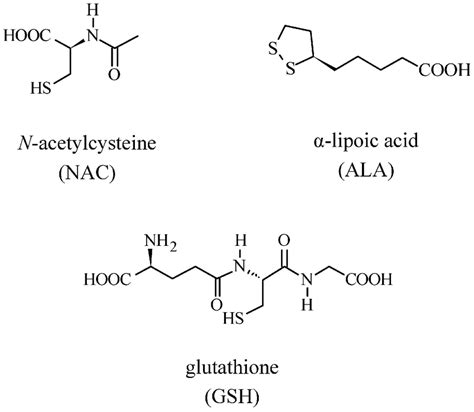 Antioxidants Such As N Acetylcysteine Nac α Lipoic Acid Ala And Download Scientific