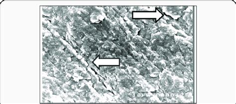 Sem Photomicrograph Illustrating De Watering Cracks Parallel To Bedding Download Scientific