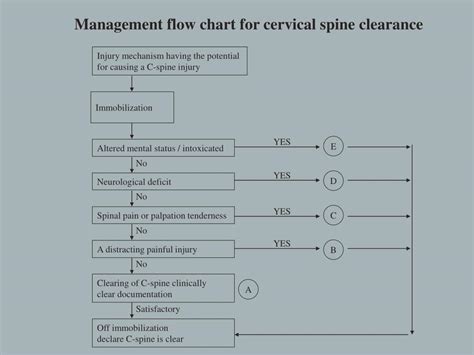 Ppt Clearing The Cervical Spine Powerpoint Presentation Free