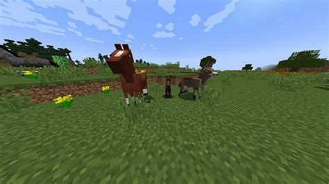How To Breed Mules In Minecraft Media Referee