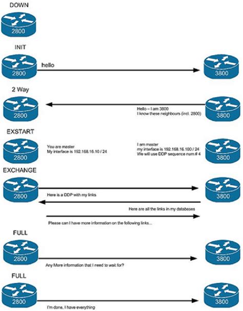 14 Ospf Neighbor Formation [8] Download Scientific Diagram