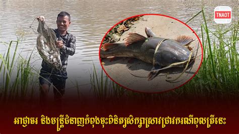ពលរដ្ឋជាច្រើននាក់ អ្នកខ្លះកាន់សំណាញ់ ខ្លះកាន់កញ្ច្រែង ចាប់ត្រីខណៈត្រីជាច្រើនកំពុងពុលទឹក Tnaot