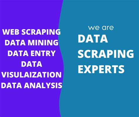 Do Professional Web Scraping And Data Entry And Mining For Businesses