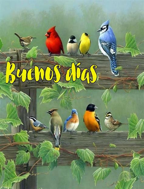 Pin On Buenos Dias Good Morning Spanish Greetings Bird