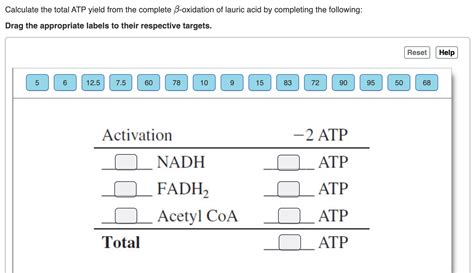 Solved Calculate The Total ATP Yield From The Complete Chegg Com