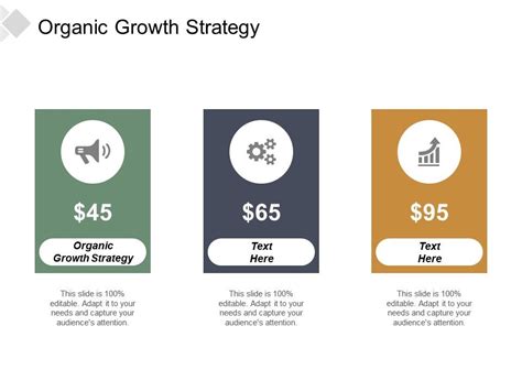 Organic Growth Strategy Ppt Powerpoint Presentation File Example Topics