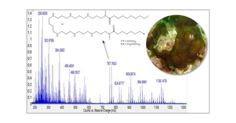 Anthony Tony Carroll On Linkedin Amphiphilic Polyamine α Synuclein