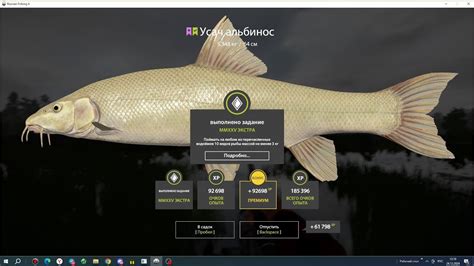 ФАРМ НА МЕДНОМ И НОВОГОДНИЕ ЗАДАНИЯ НА ЯРМАРКУ В РУССКОЙ РЫБАЛКЕ 4