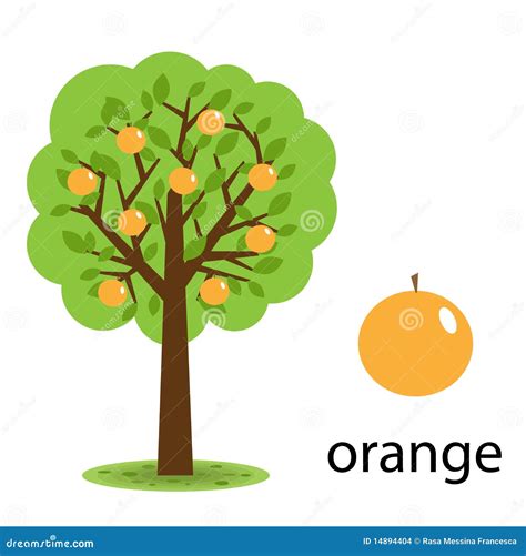 How To Draw An Orange Tree