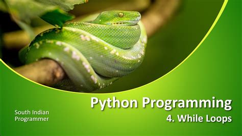 python programming while loops youtube