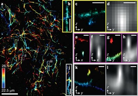 Active Psf Shaping And Adaptive Optics Enable Volumetric Localization