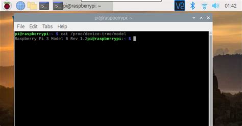 Hello Raspberry Pi Check Model And Revision Of Your Raspberry Pi Board
