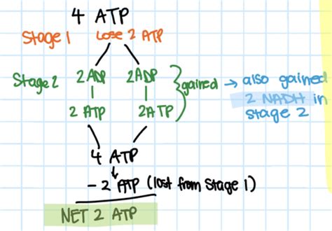 Kin Final Flashcards Quizlet Kin Final Flashcards Quizlet