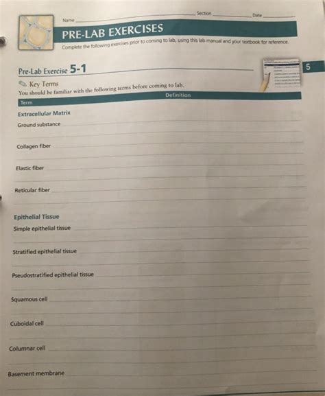 Solved Section Date Name PRE LAB EXERCISES Complete The Chegg