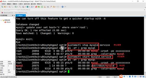 Centos8安装mysql80及配置步骤 Csdn博客