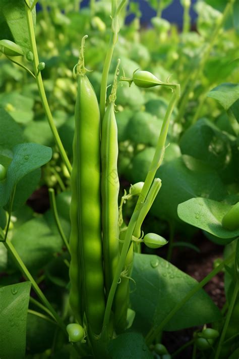 降血压图片 降血压素材免费下载 包图网