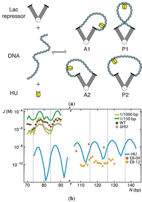 Unlocking The Potential Dna Spaces Datasheet Revealed